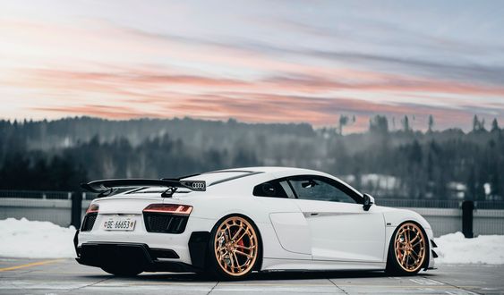 Performance Style Carbon Fiber Wing - Audi R8 – The Carbon Industries